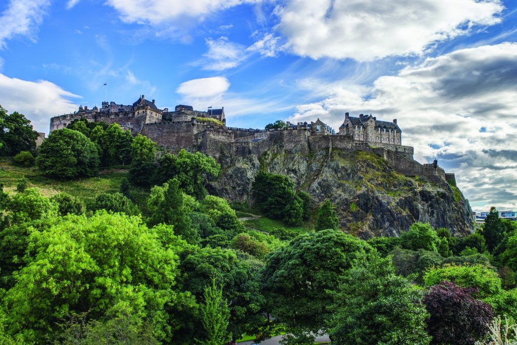 Contact Information – Andrew Heald